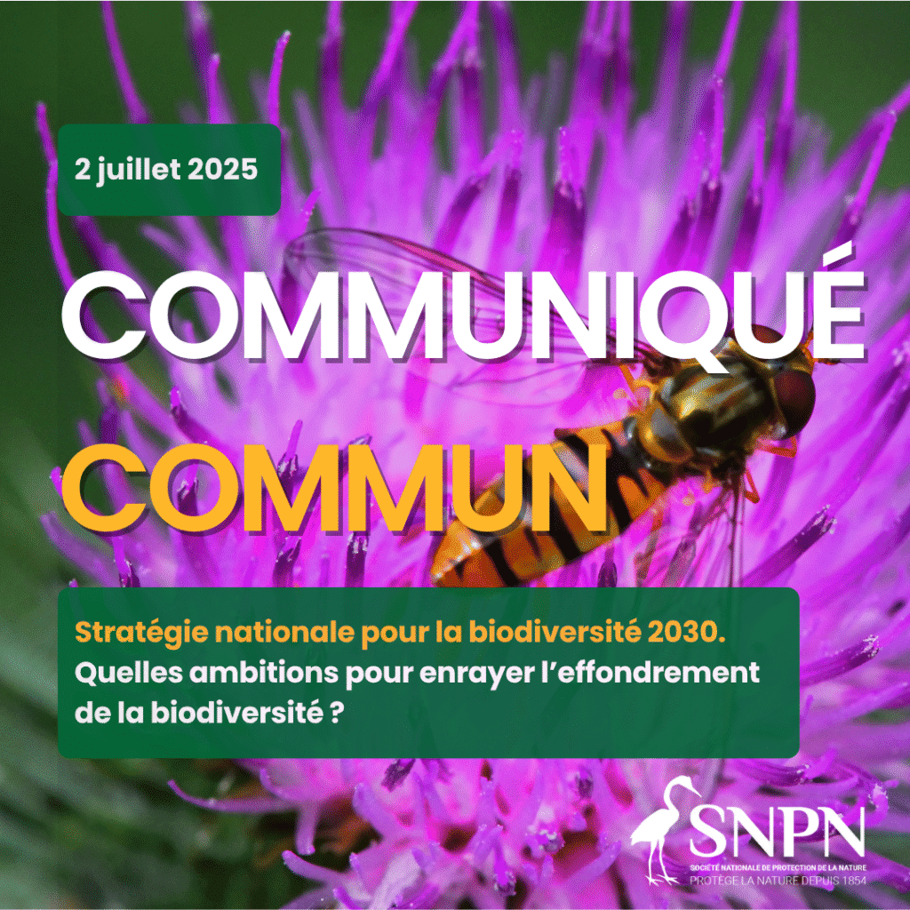 Stratégie nationale pour la biodiversité 2030 : Quelles ambitions pour ...